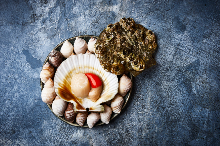 IMPRESSIONS – KOKS